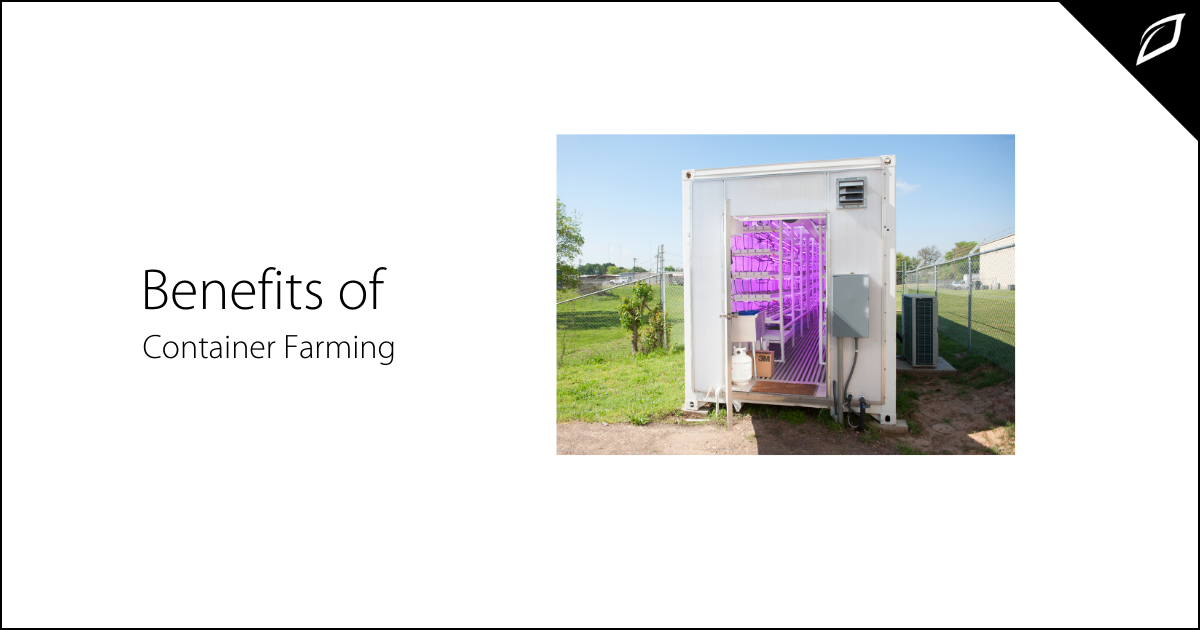 Benefits of Container Farming | What Are Container Farms? | Growlink