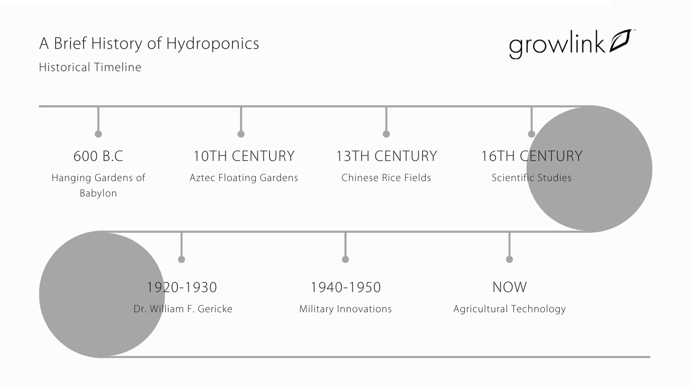 A Brief History of Hydroponics