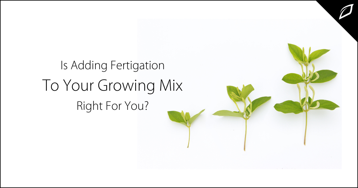 Is Adding Fertigation To Your Growing Mix Right For You? | Growlink