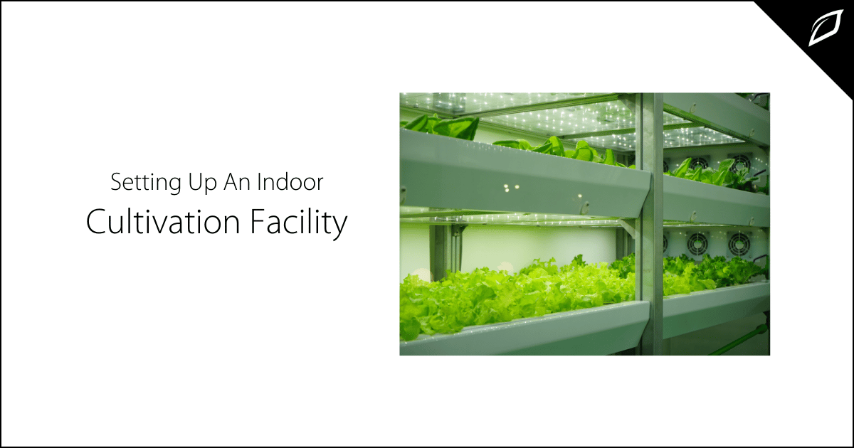 Setting Up An Indoor Cultivation Facility