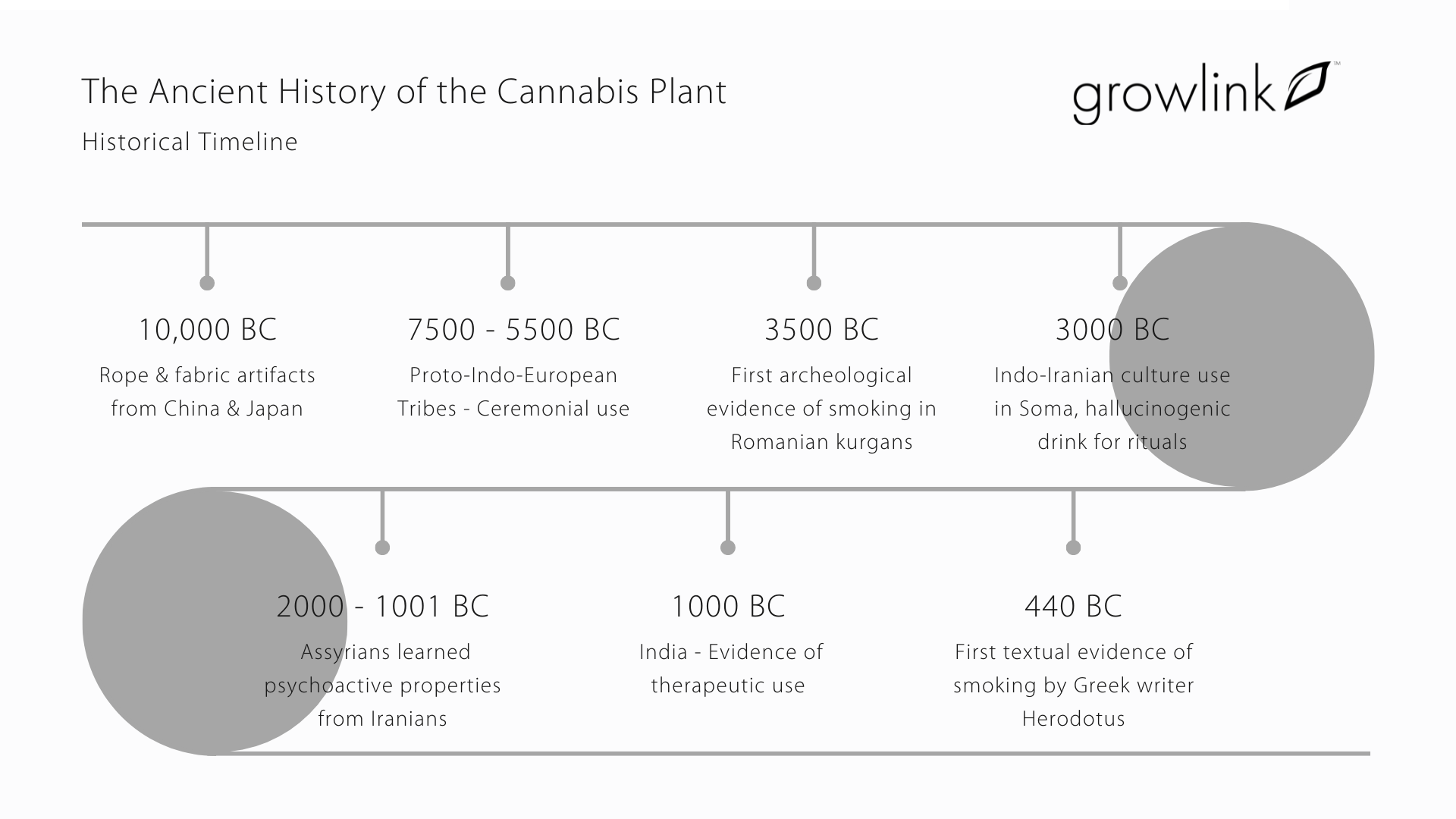 The Ancient History of the Cannabis Plant