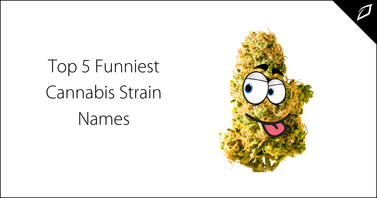 Top 5 Funniest Cannabis Strain Names
