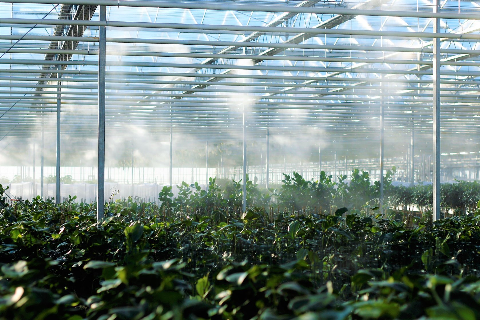 Greenhouse Management with Growlink