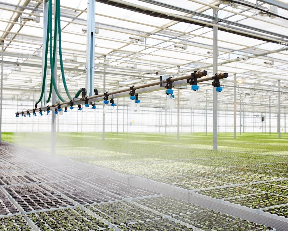 How To Get Started With Indoor Precision Irrigation
